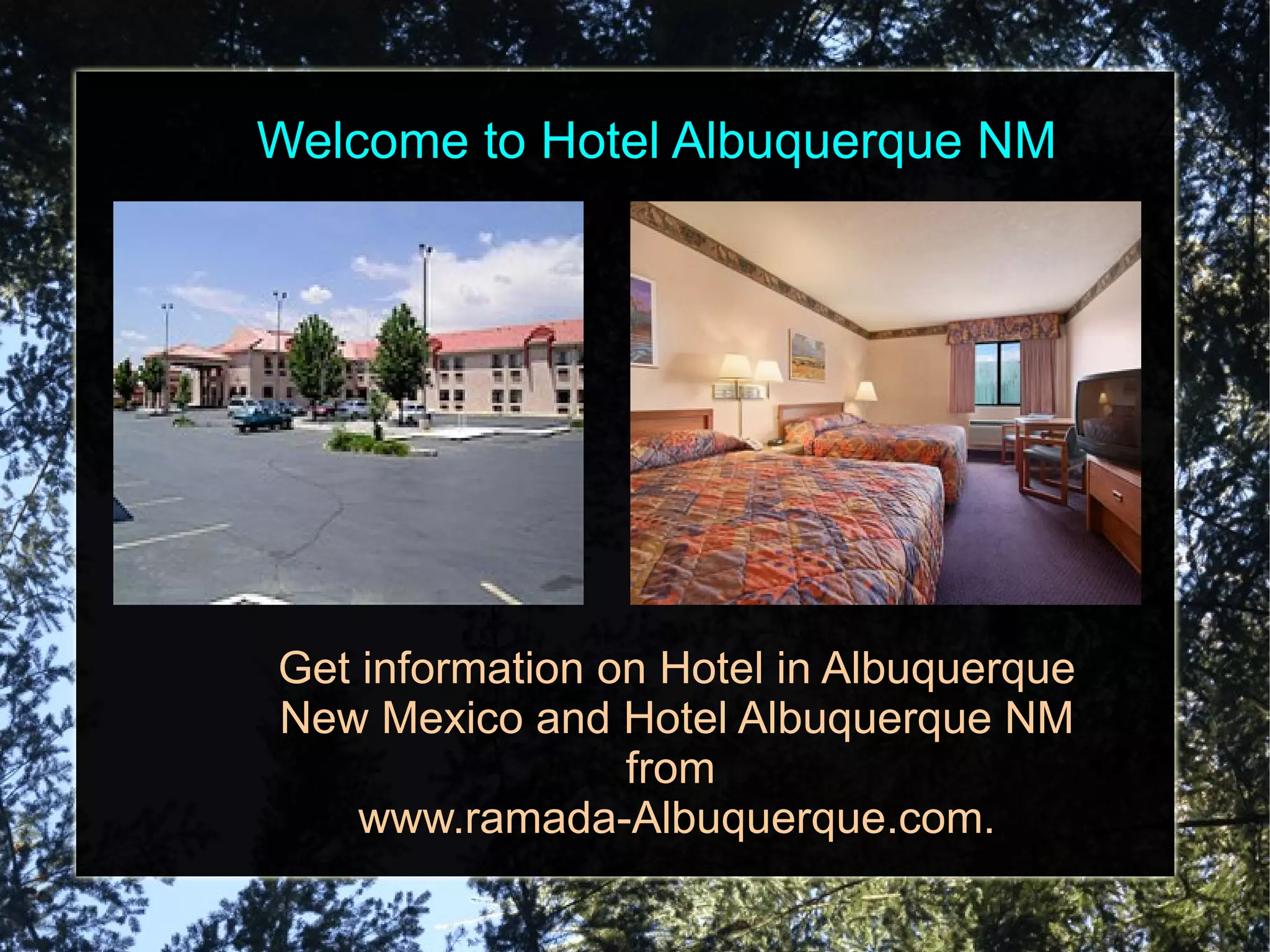 Hotel Albuquerque NM | ODP