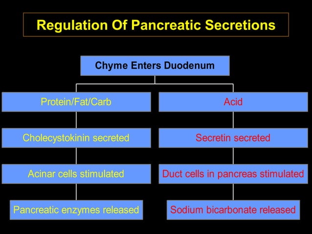 Ramadan- GIT physiology.pdf