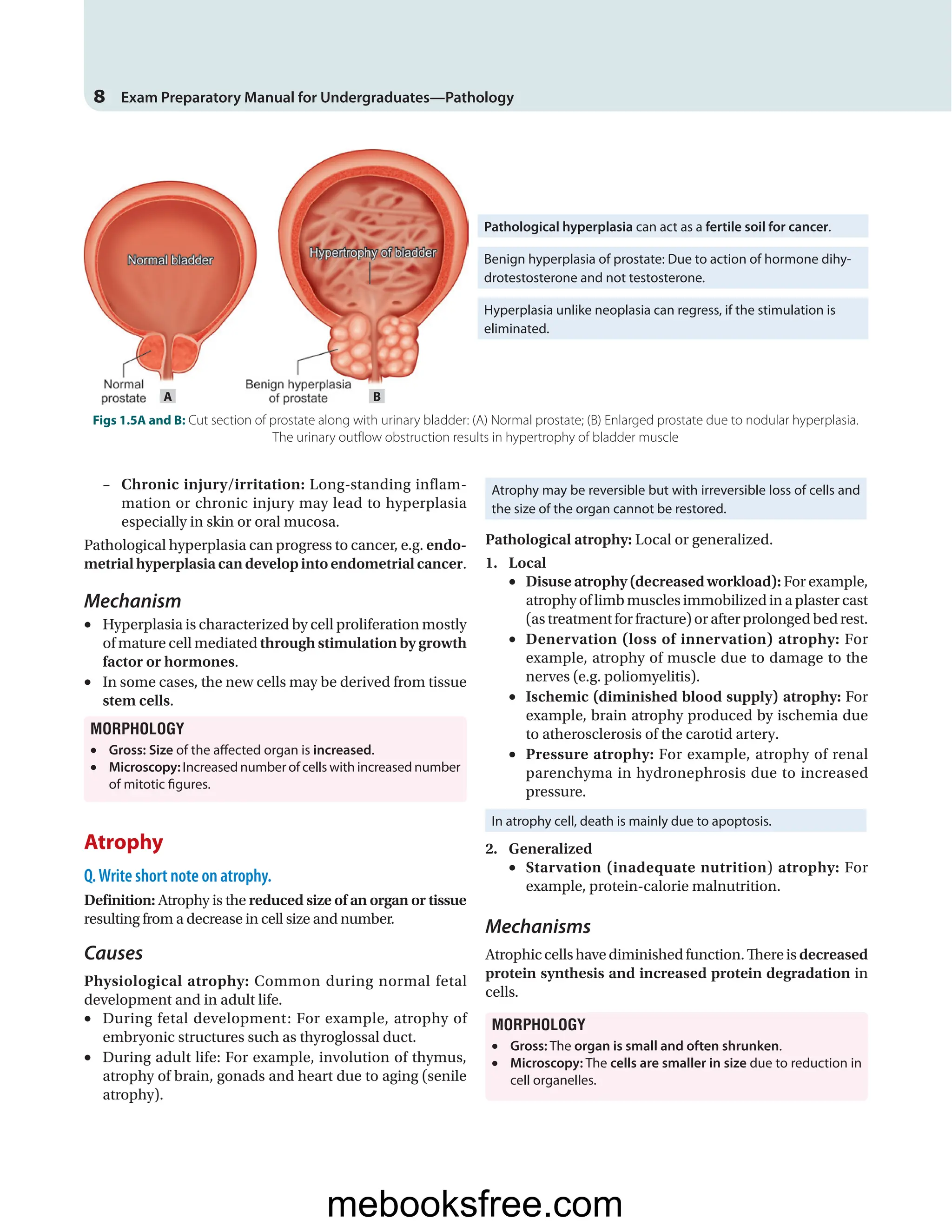 Ramadas_Nayak_Exam_ preparator_manual_pathology.pdf