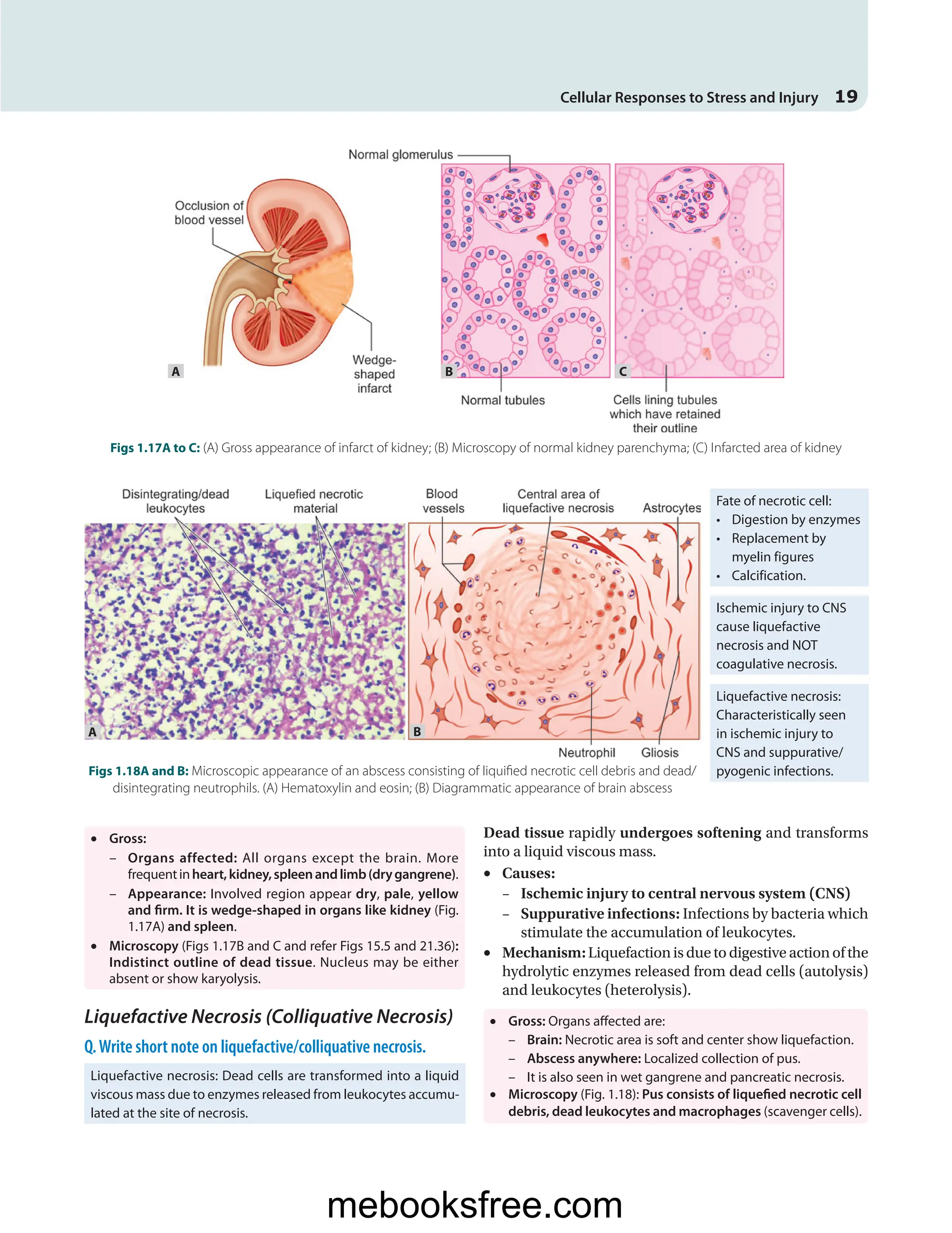 Ramadas_Nayak_Exam_ preparator_manual_pathology.pdf