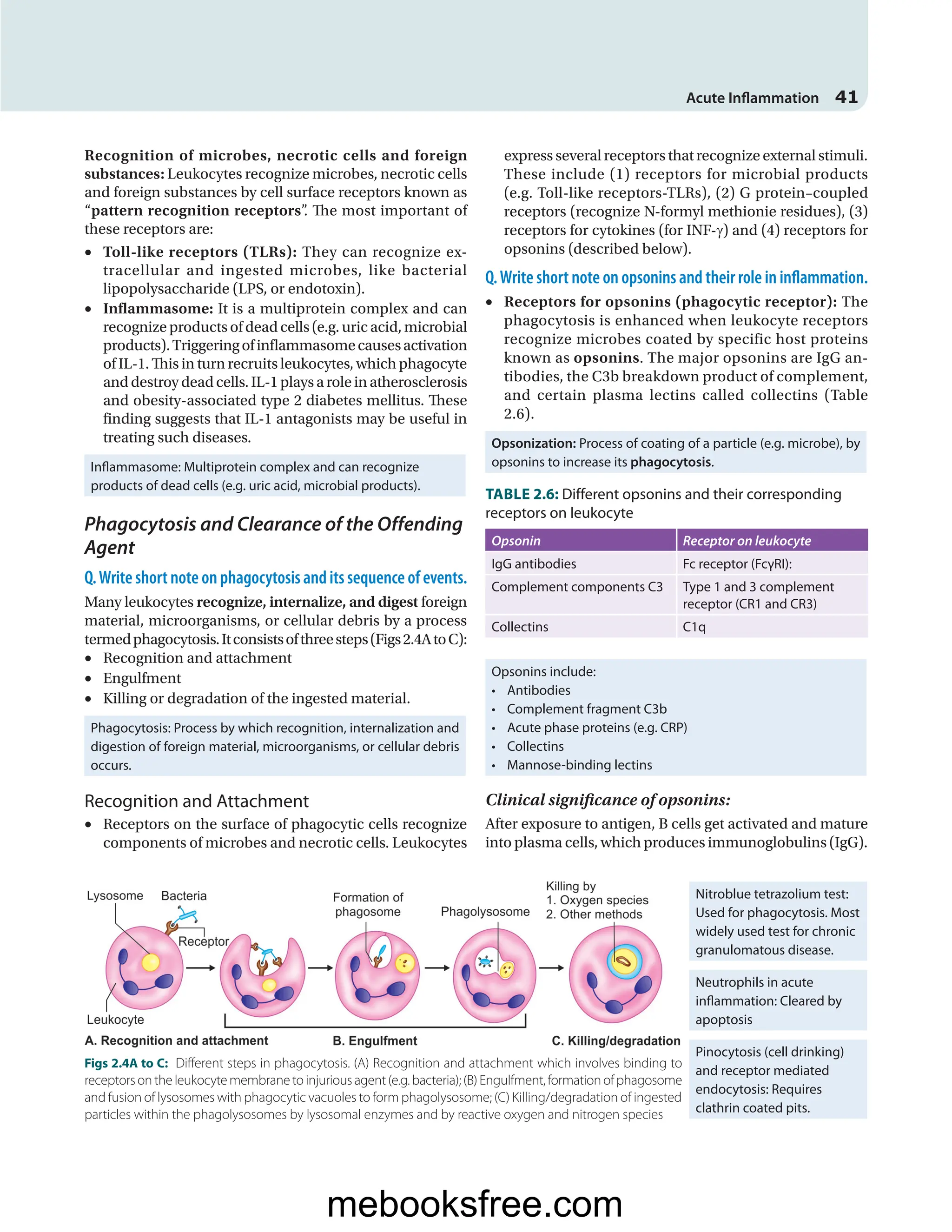 Ramadas_Nayak_Exam_ preparator_manual_pathology.pdf