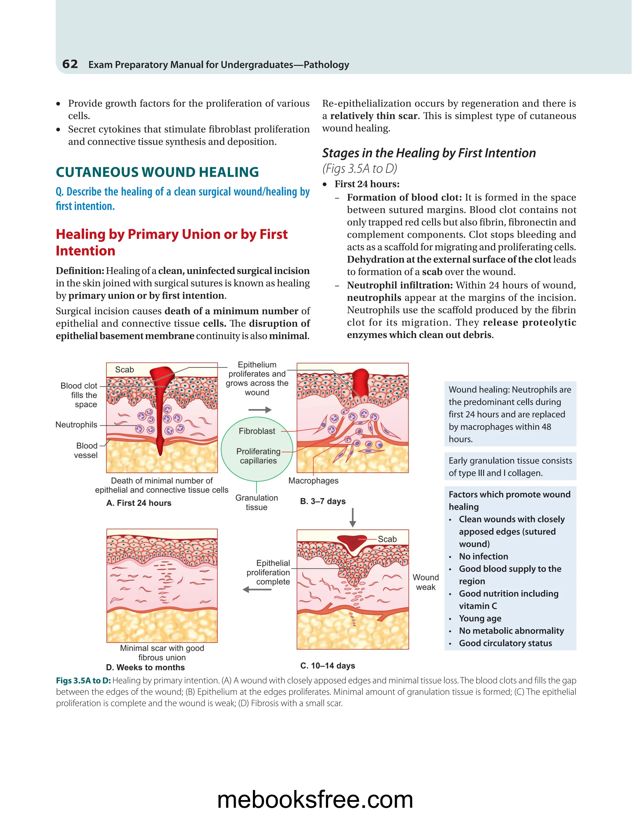 Ramadas_Nayak_Exam_ preparator_manual_pathology.pdf