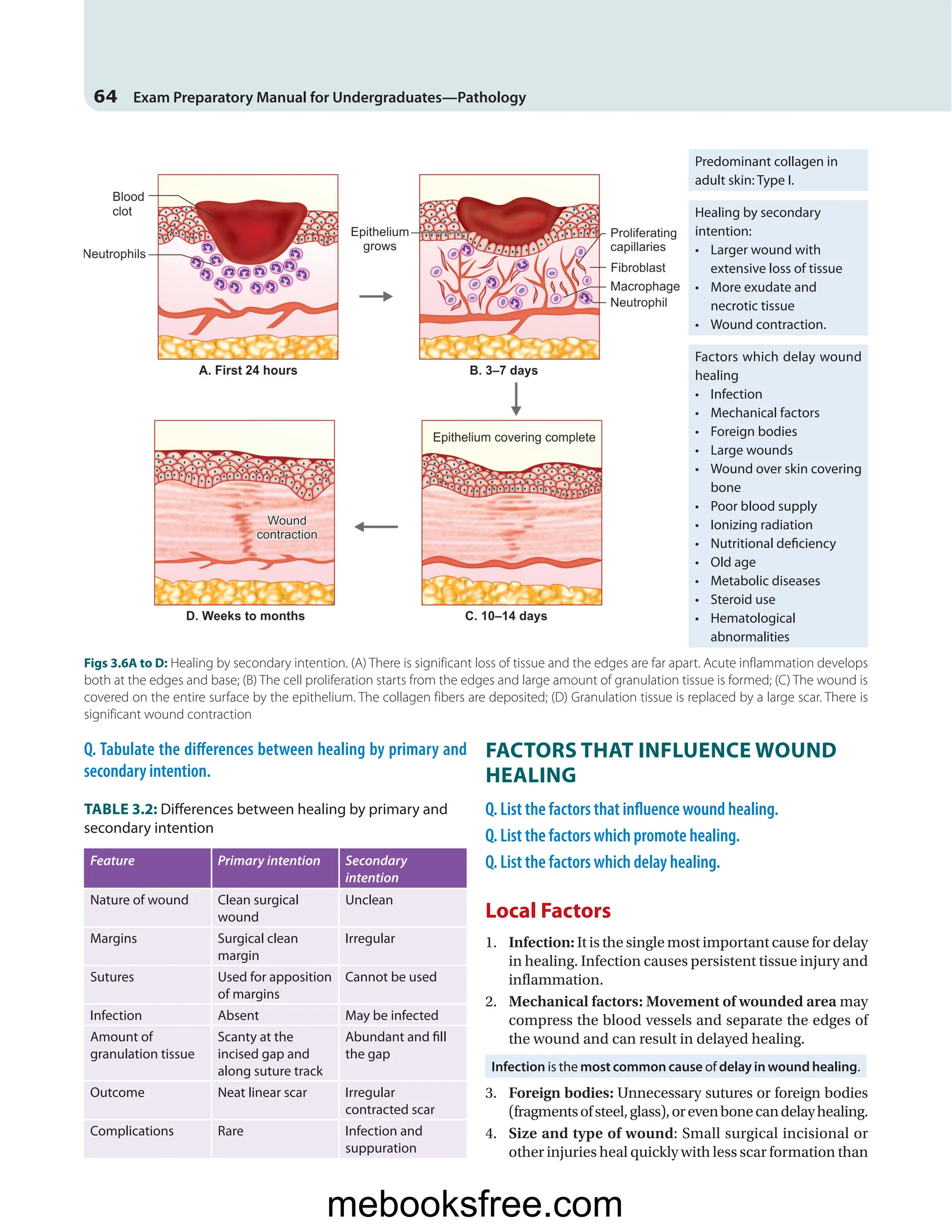 Ramadas_Nayak_Exam_ preparator_manual_pathology.pdf