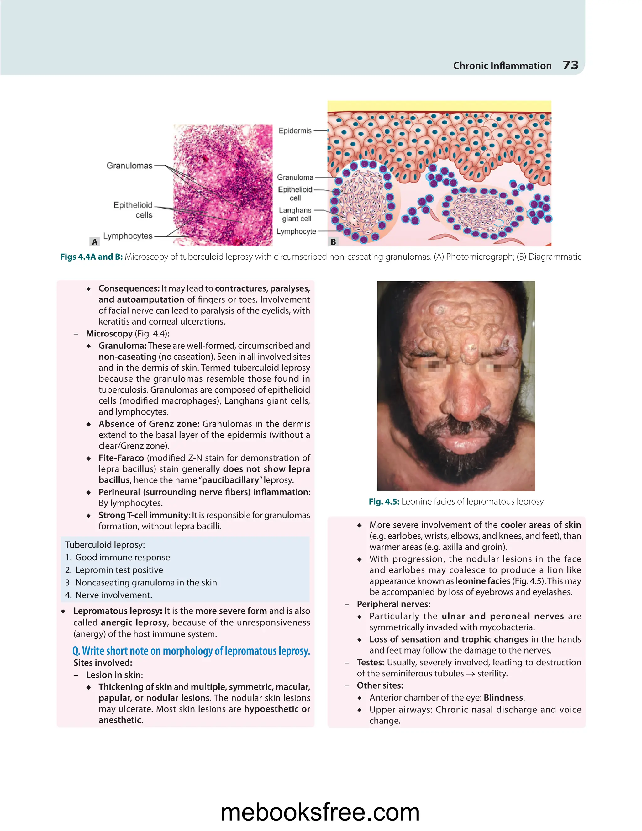 Ramadas_Nayak_Exam_ preparator_manual_pathology.pdf