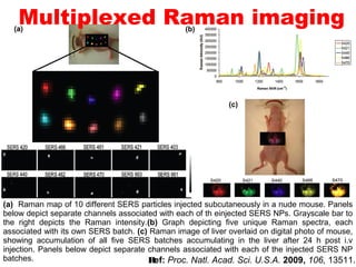 Raman imaging -Anjali Devi J S | PPT