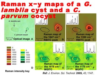 Raman imaging -Anjali Devi J S | PPT
