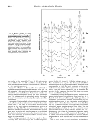 Raman microscopy and x ray diffraction a combined study of fibrillin ...