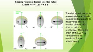 Raman spectra.pdf