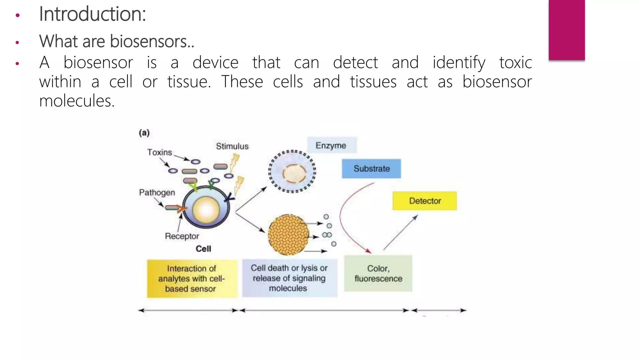 Raman spectroscopy cell based biosensors | PPTX