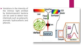 Raman spectroscopy cell based biosensors | PPTX