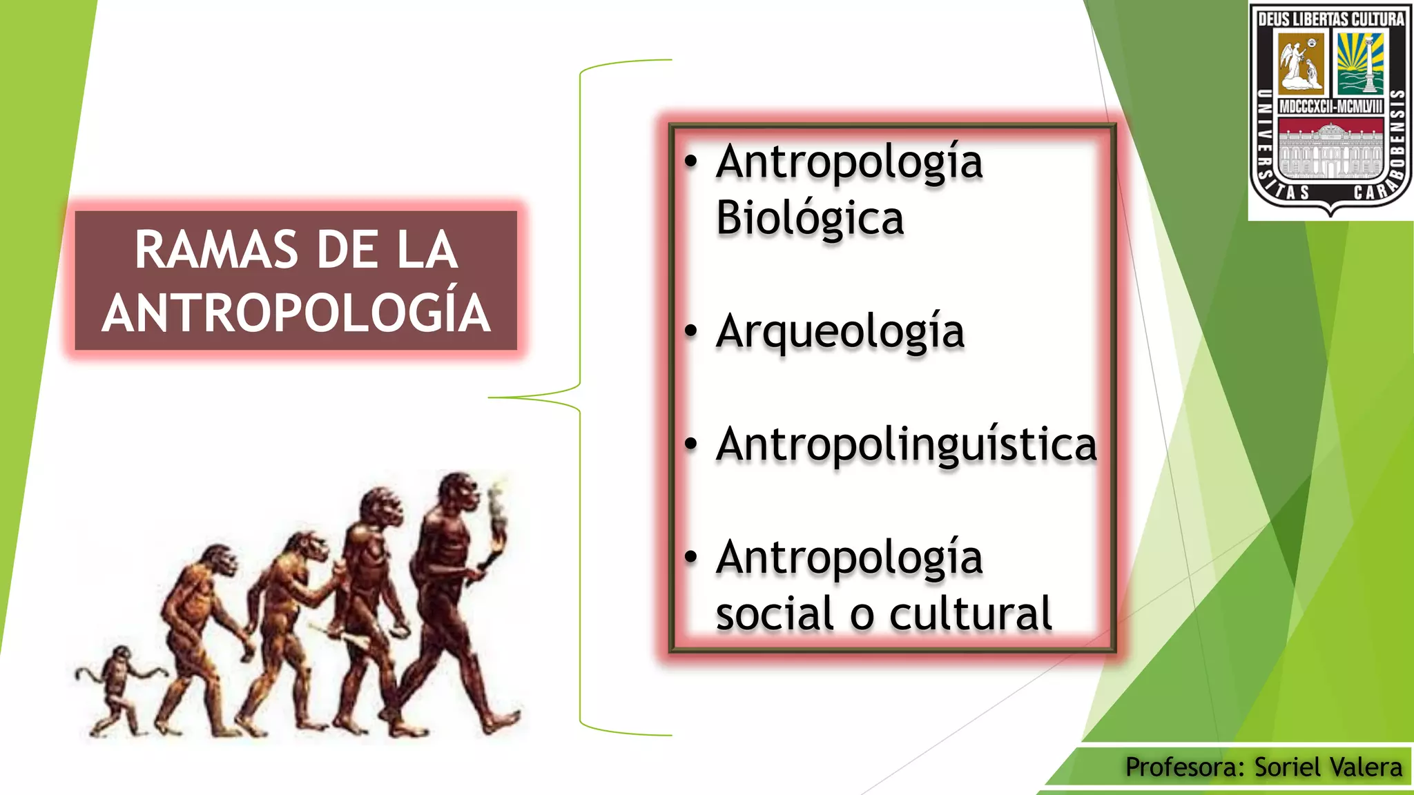 Ramas de antropologia | PPT