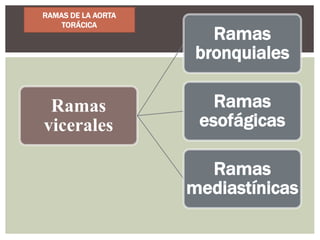 Ramas de la aorta | PPTX