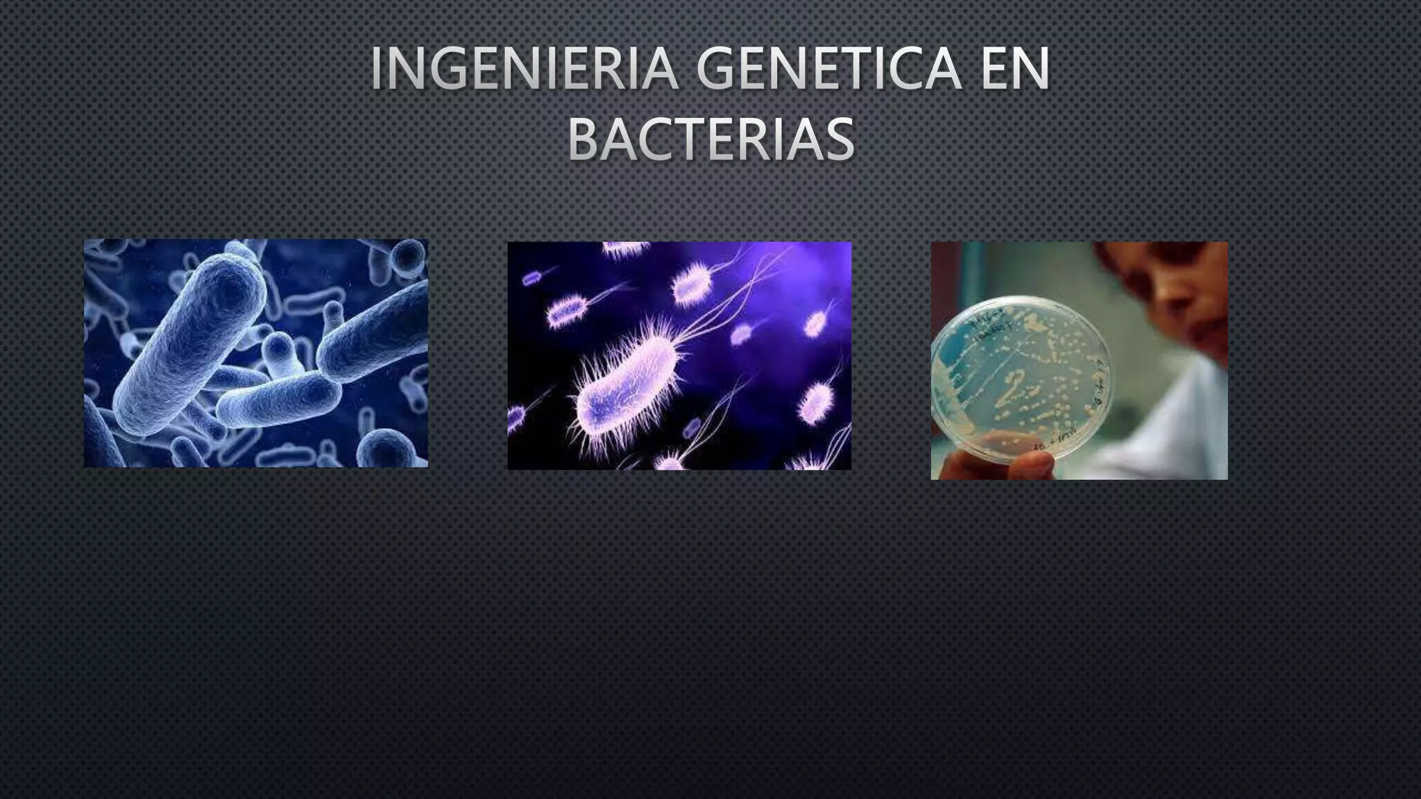 RAMAS DE LA BIOINGENIERIA.pptx