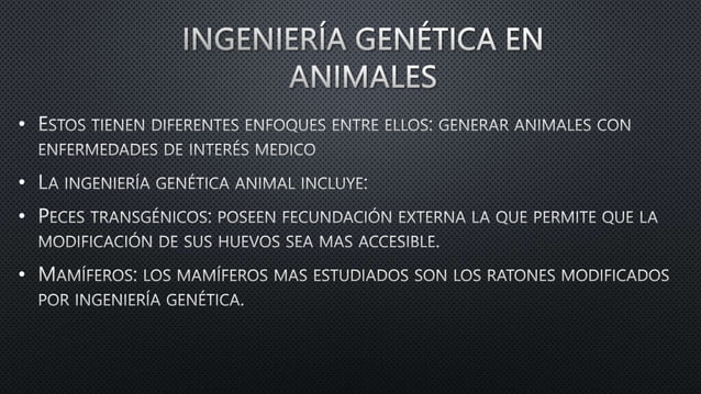 RAMAS DE LA BIOINGENIERIA.pptx