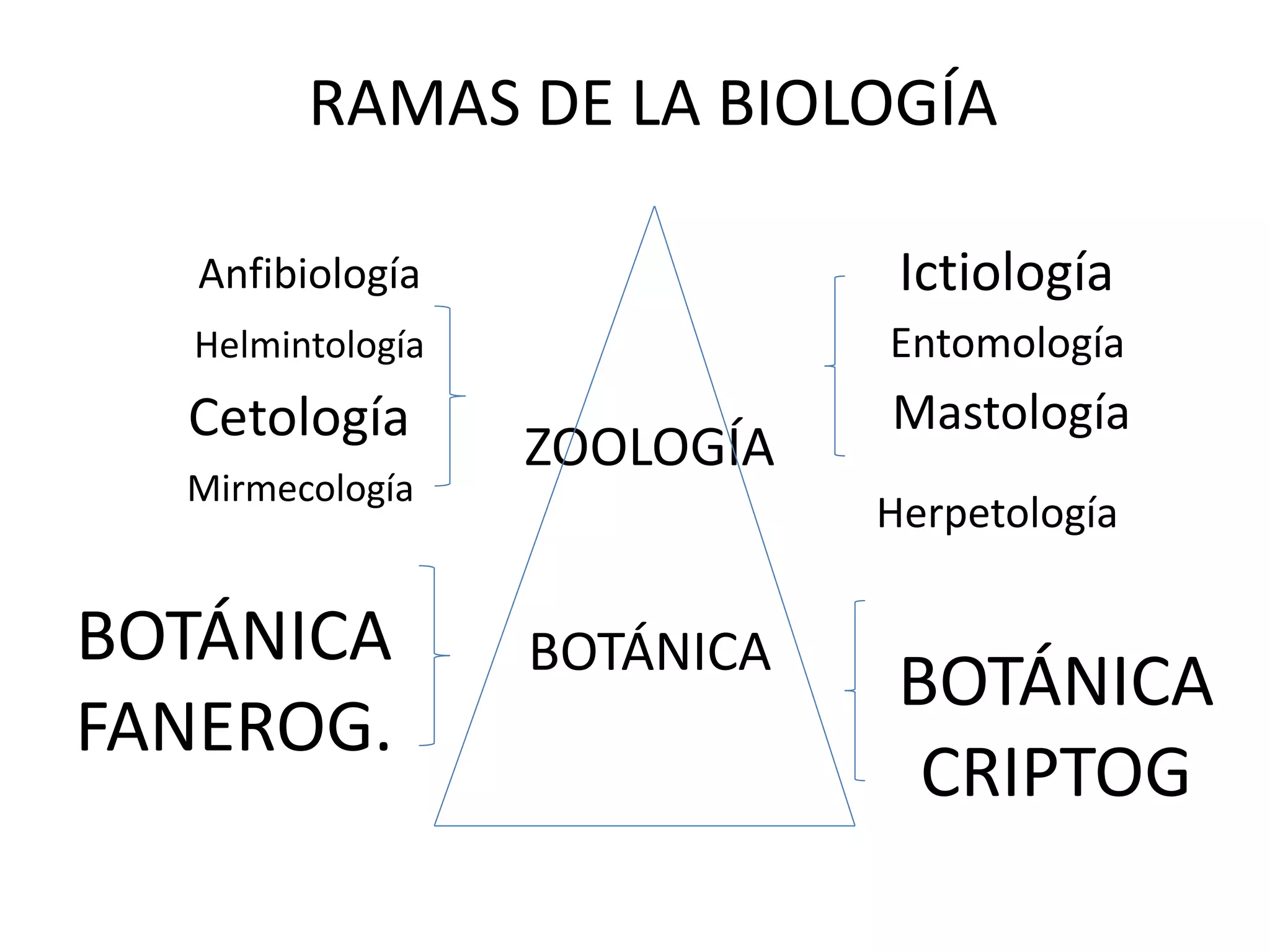 Ramas de la biología. | PPTX