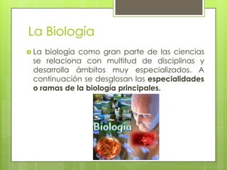 Ramas de la biologia | PPTX