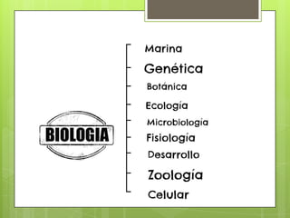 Ramas de la biologia | PPTX