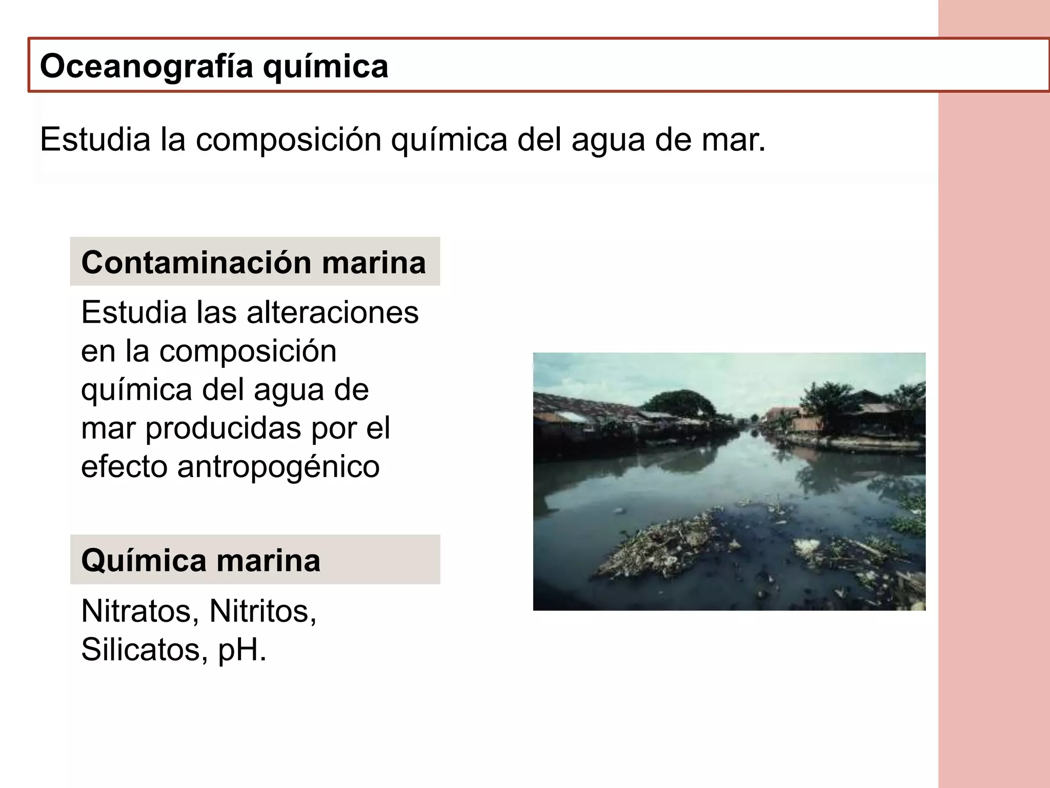 Ramas de la oceanografia | PPT