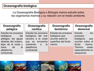 Ramas de la oceanografia | PPTX