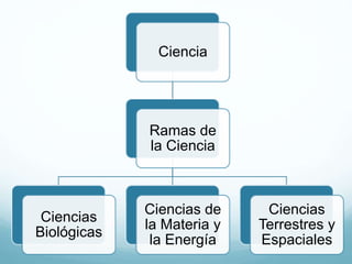 Ramas de las ciencias | PPTX