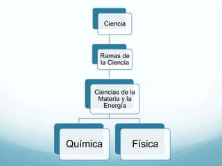 Ramas de las ciencias | PPTX