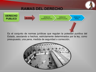 Ramas del derecho | PPT