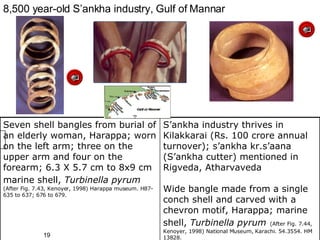 Ramasetu24june2007 | PPT