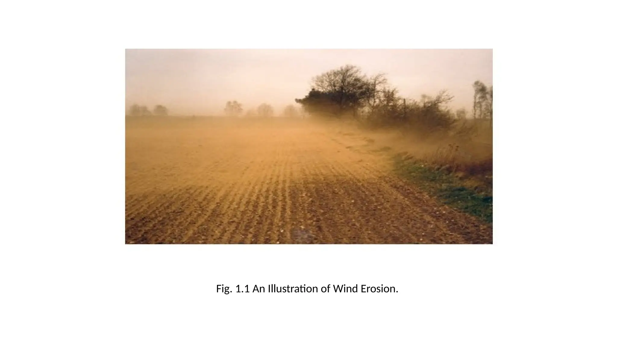 SOIL AND WATER CONSERVATION ENGINEERING .pptx