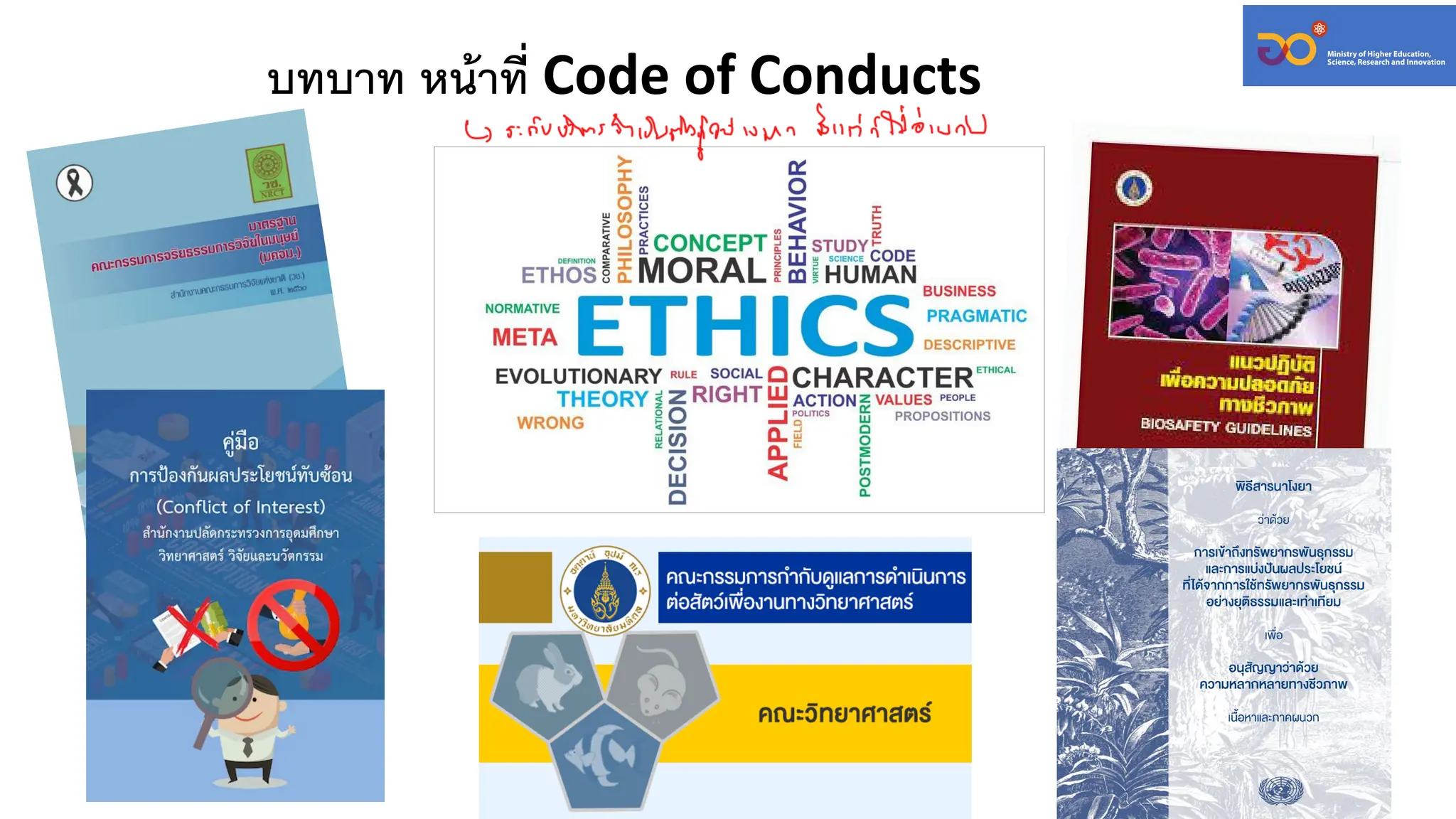 Ramathibodi 2024 Funding Landscape of PMU.pdf