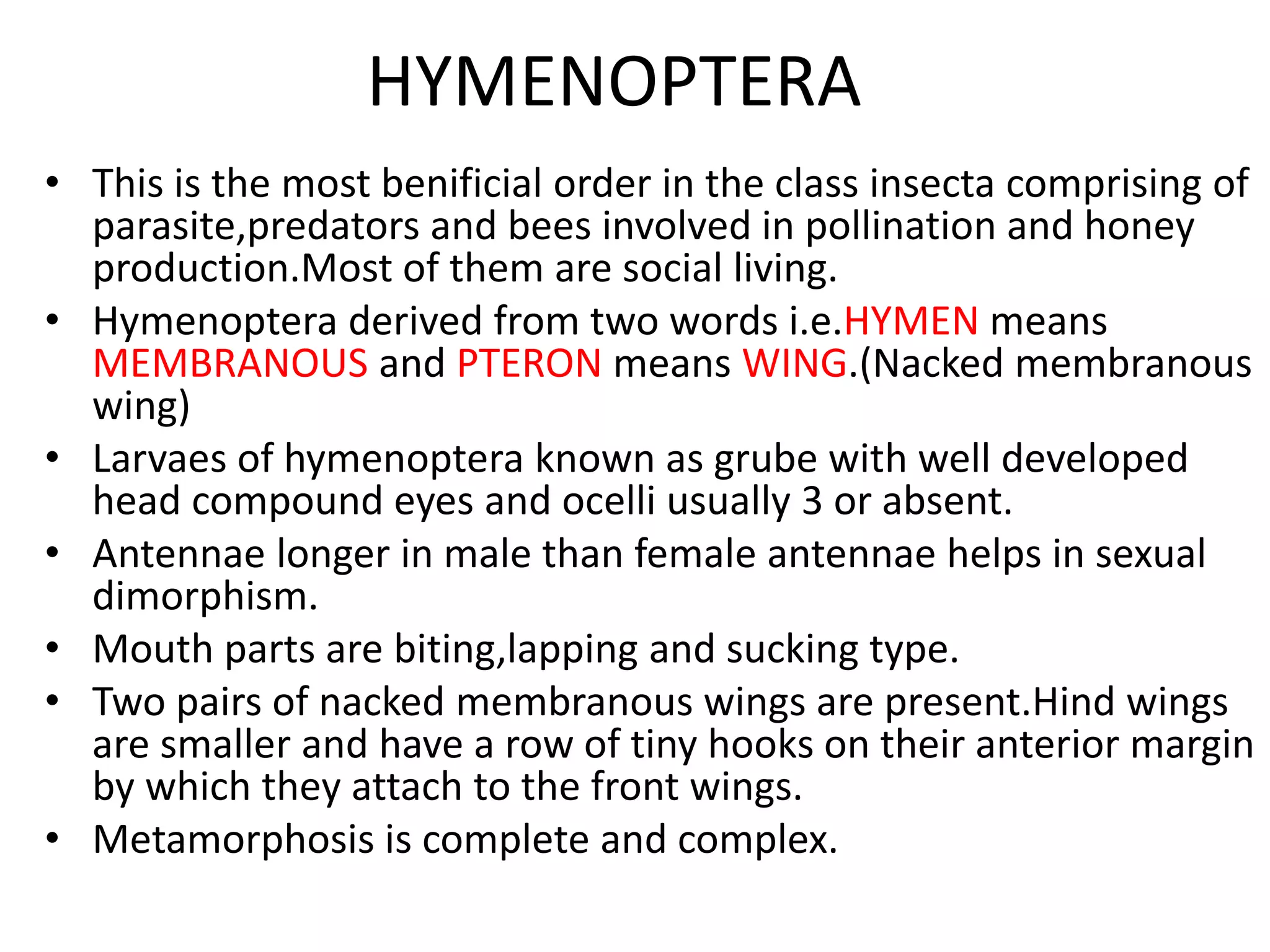 Classification of Order hymenoptera | PPTX
