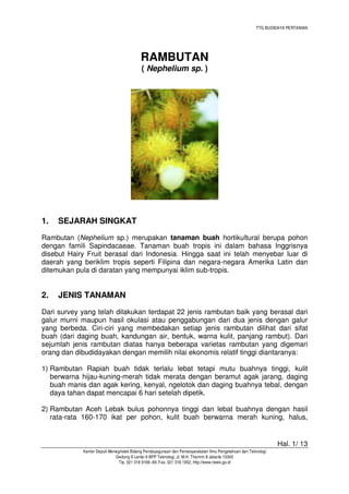Rambutan | PDF