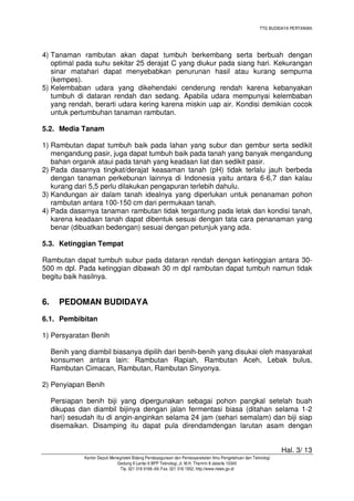 Rambutan | PDF