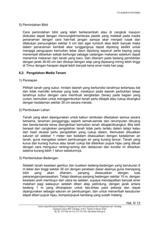 Rambutan | PDF