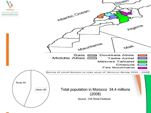 Impacts of Wheat Stripe rust in Morocco: Breeding and Control ...