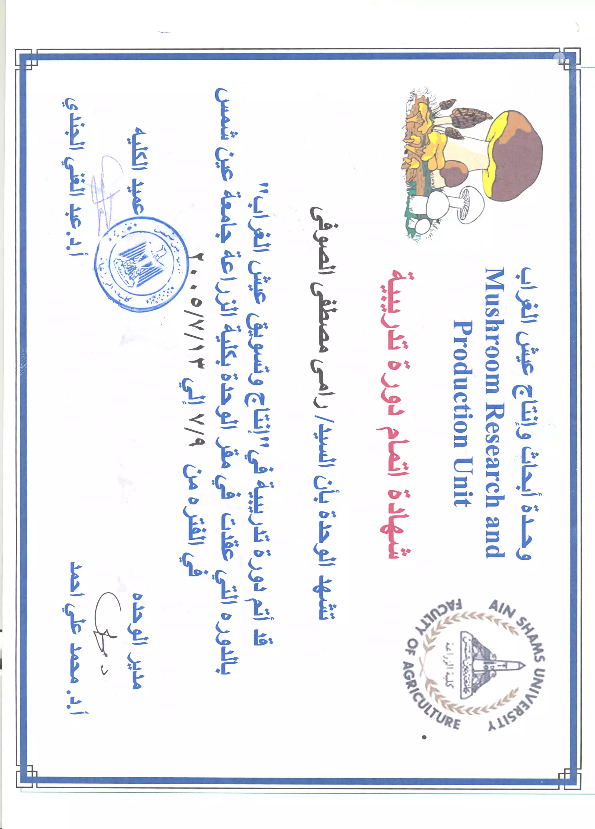 English certificate | PDF