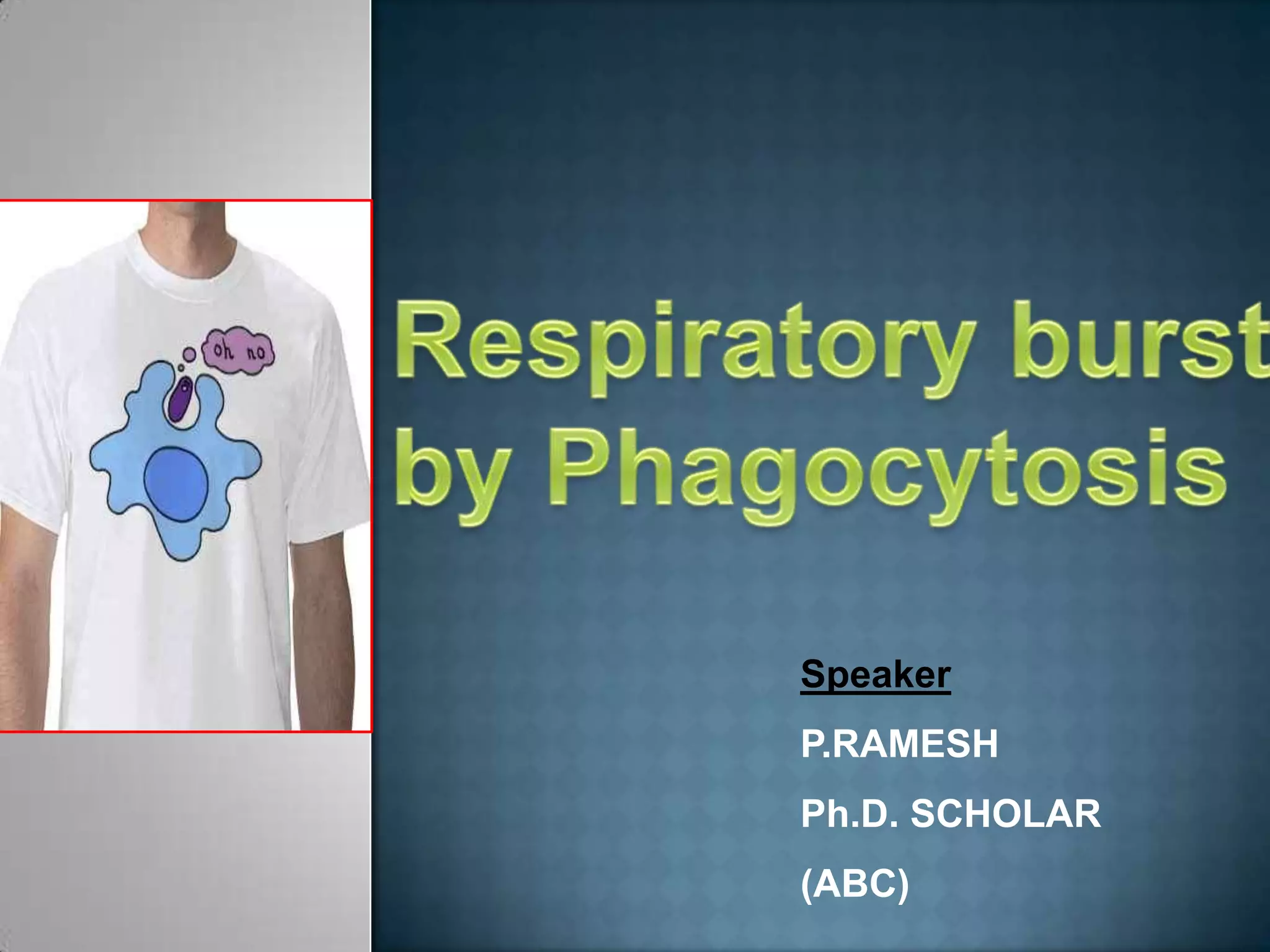 Respiratory burst by Phagocytosis | PPT