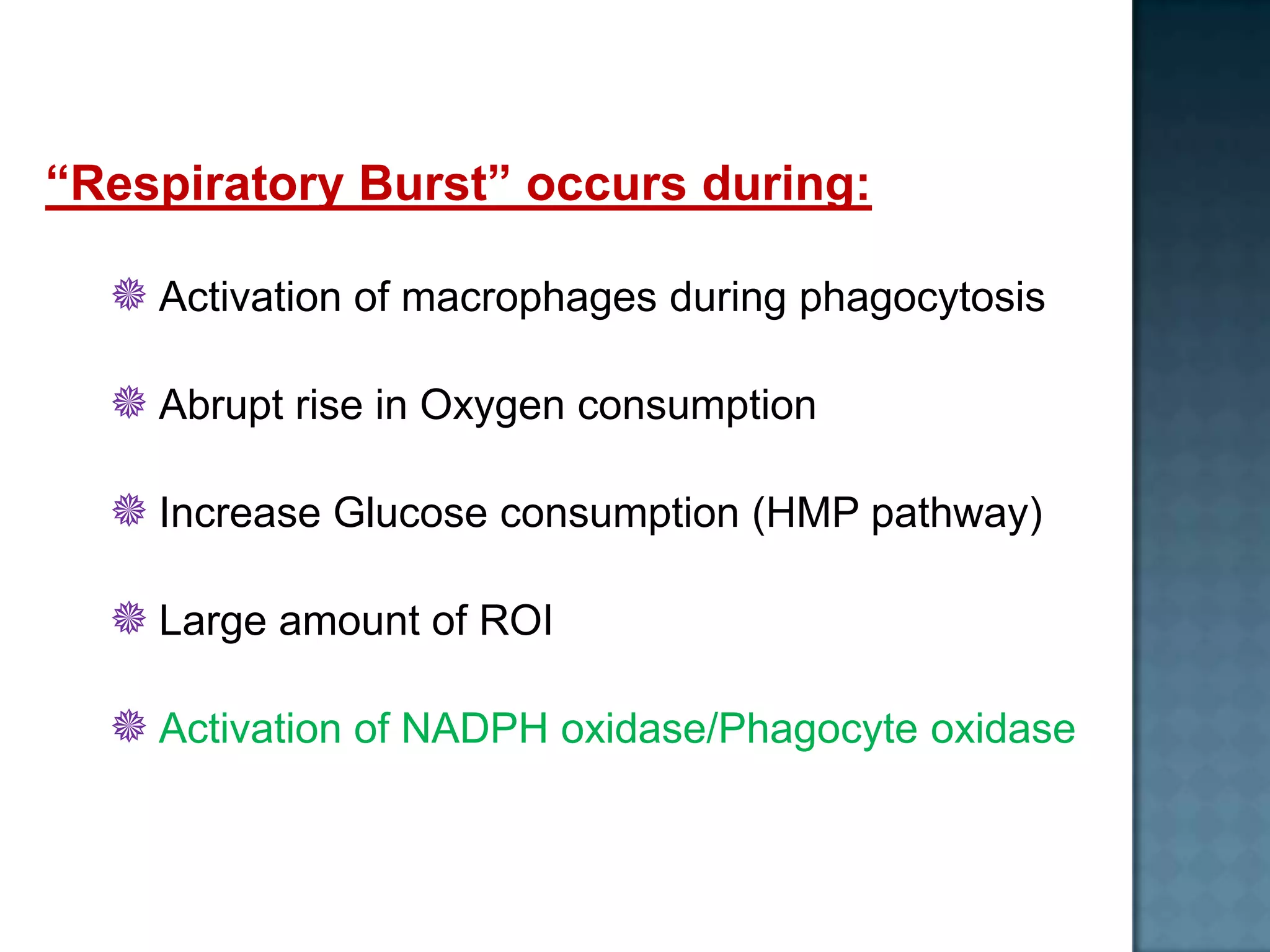 Respiratory burst by Phagocytosis | PPTX