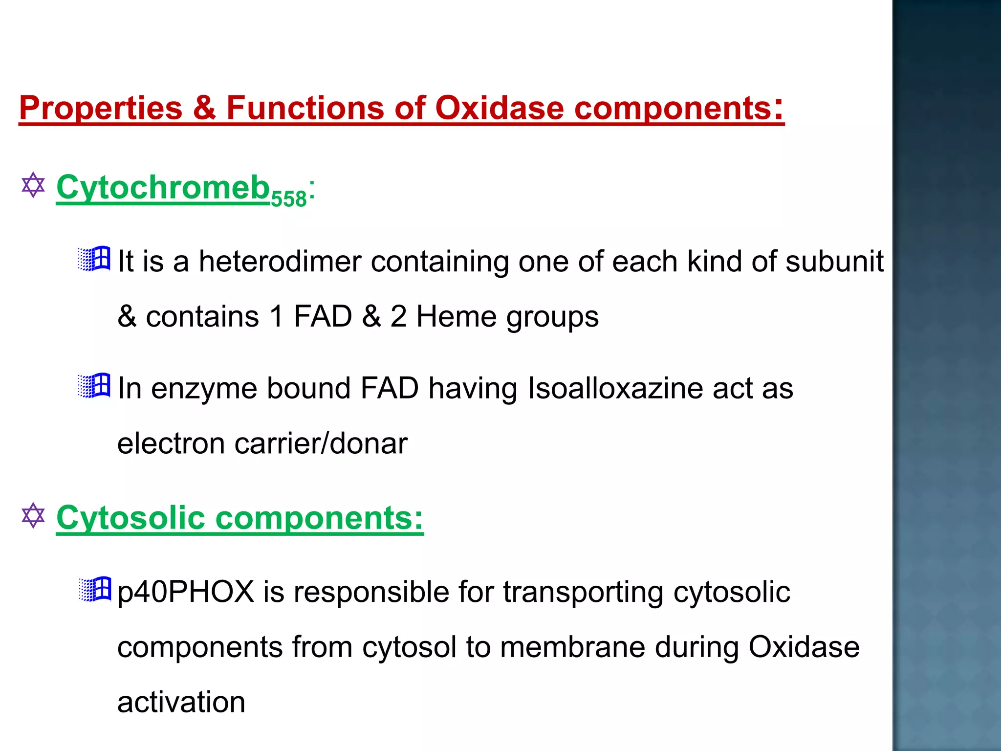 Respiratory burst by Phagocytosis | PPTX