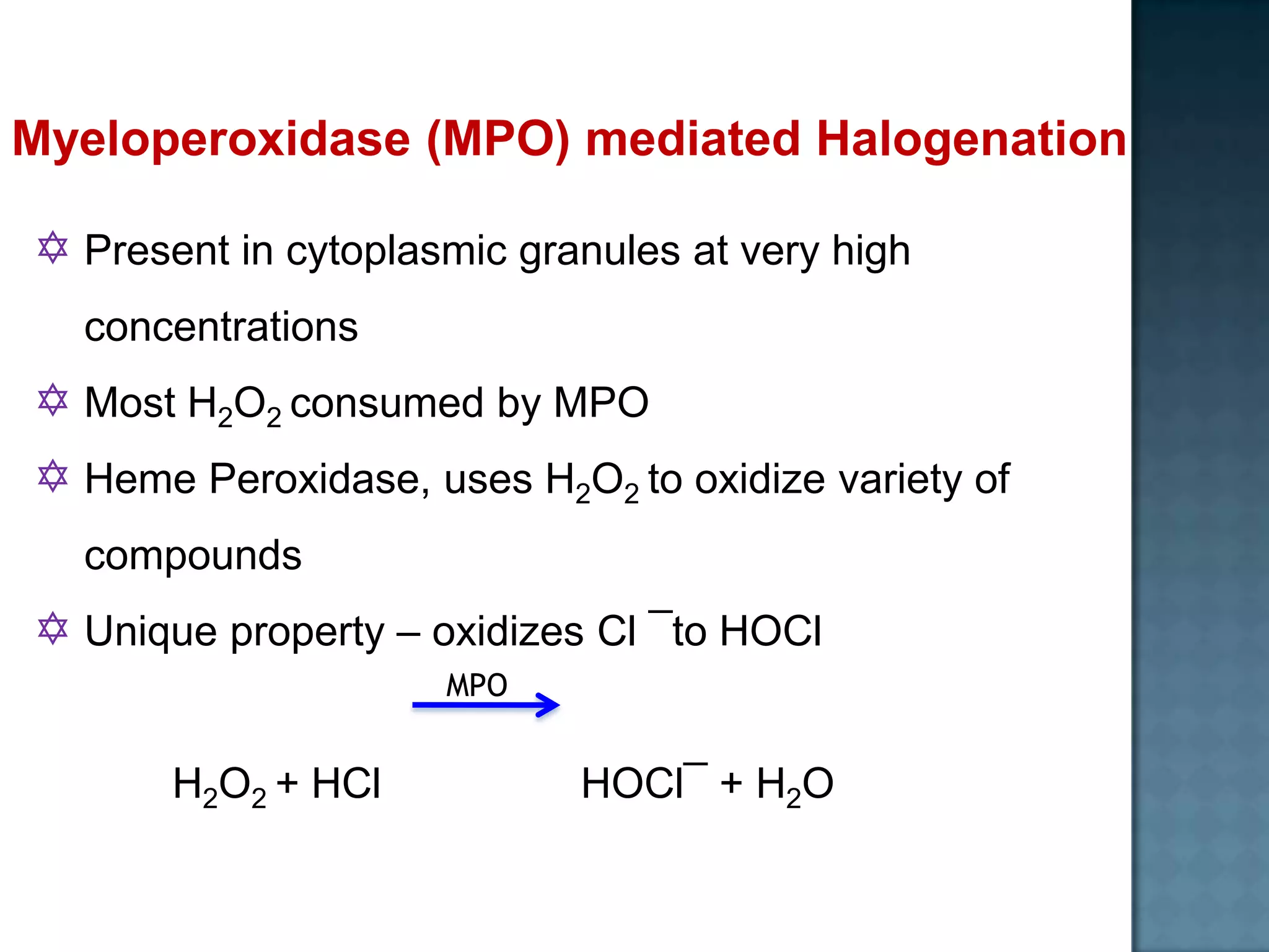 Respiratory burst by Phagocytosis | PPTX