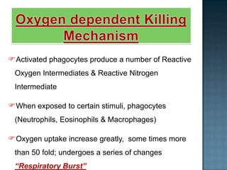 Respiratory burst by Phagocytosis | PPTX