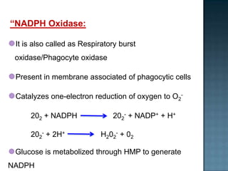 Respiratory burst by Phagocytosis | PPTX
