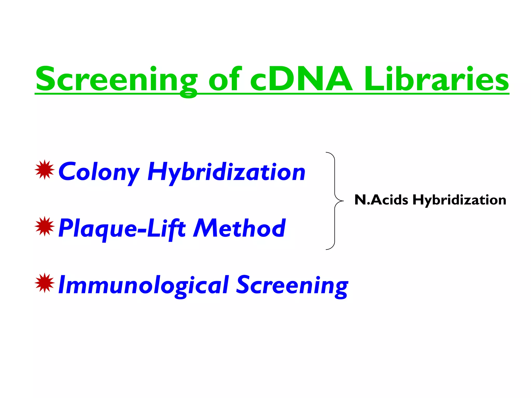 Complementary DNA (cDNA) Libraries | PDF