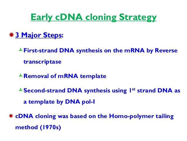 Complementary DNA (cDNA) Libraries