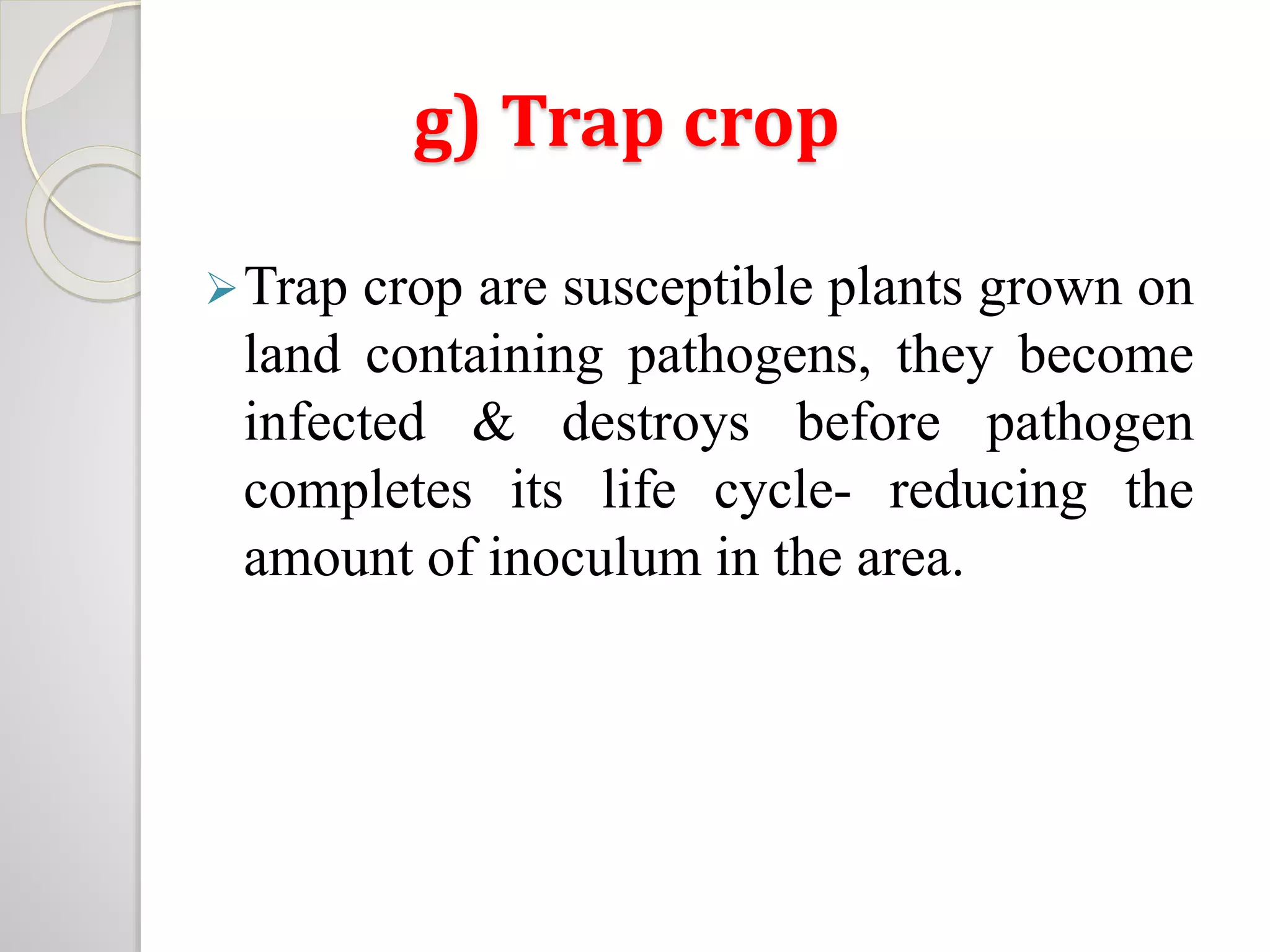 SEED BORNE DISEASES | PPTX