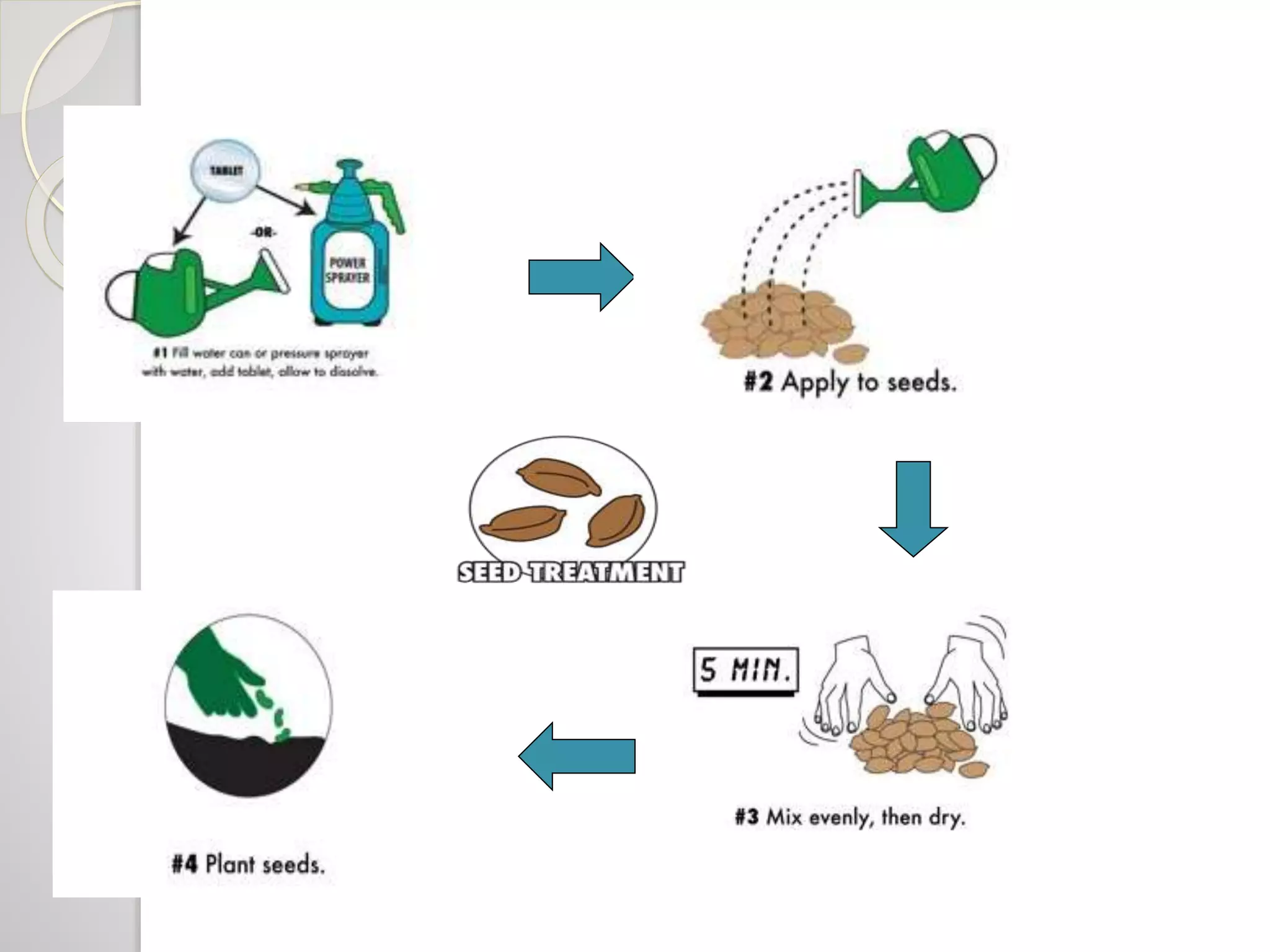 SEED BORNE DISEASES | PPTX