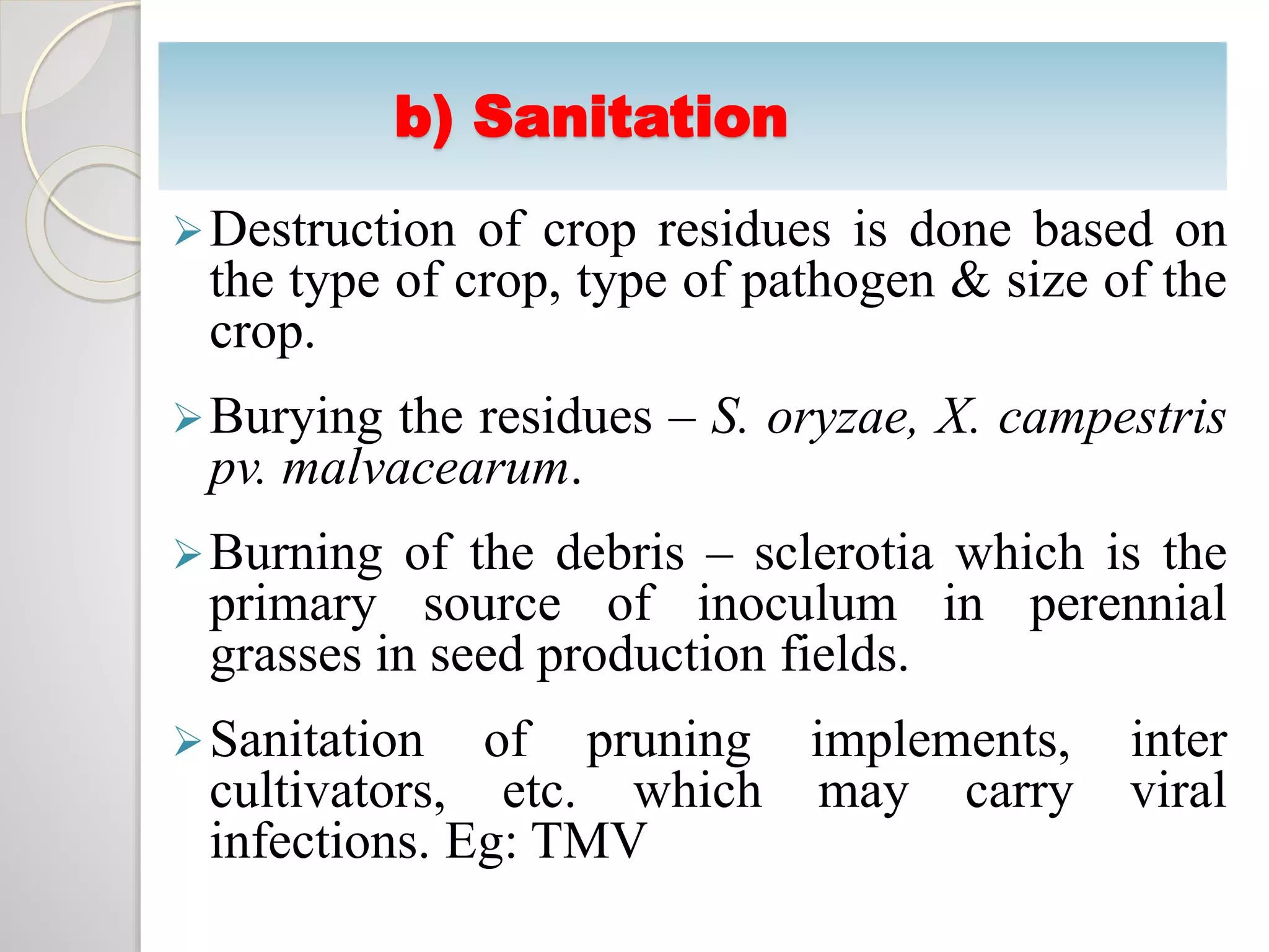SEED BORNE DISEASES | PPTX