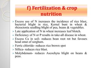SEED BORNE DISEASES | PPTX