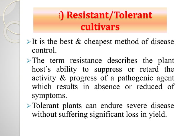 SEED BORNE DISEASES | PPTX | Agriculture | Industries