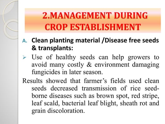 SEED BORNE DISEASES | PPTX | Agriculture | Industries