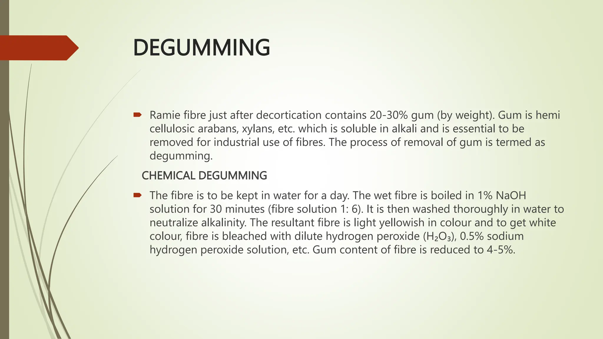 Ramie- The Strongest Bast Fibre of Nature | PPTX